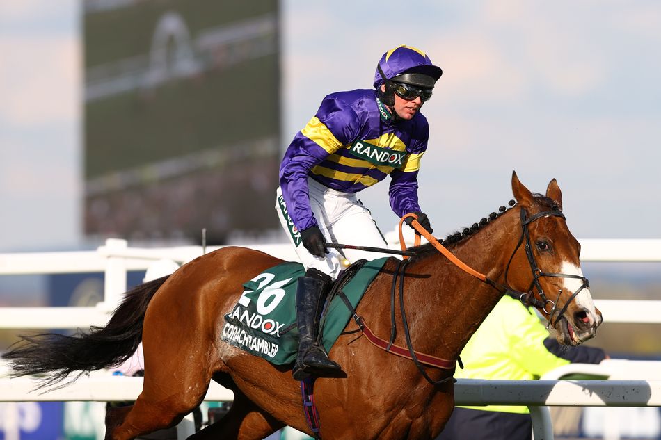 'We owe him so much' - Grand National hero Corach Rambler retired at ...