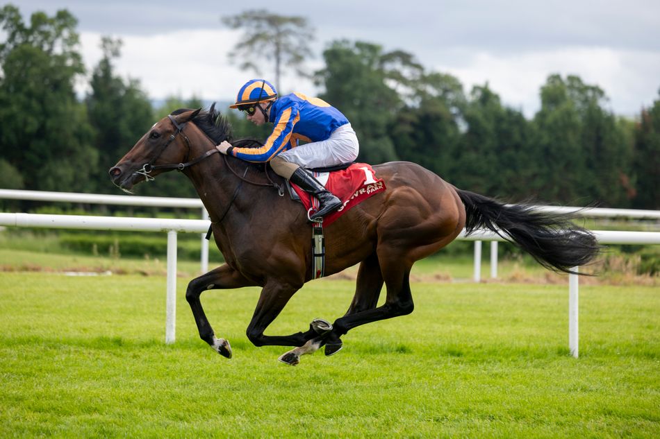 'We're keen to support the race' - high-quality field for inaugural Pat ...