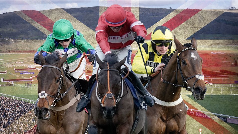 The key British formlines you need to follow at this year's Cheltenham ...