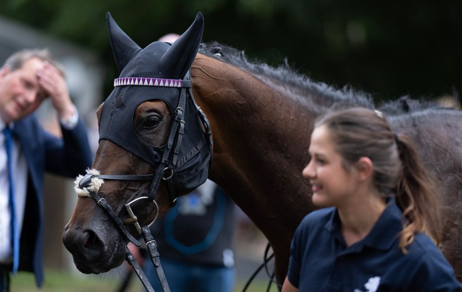 'A very smart looking filly' - first foal arrives for champion sprinter ...