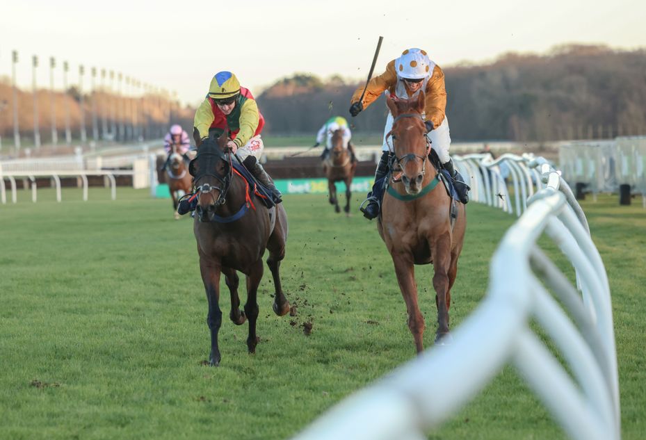 Fenland Tiger could have top marathon chases on his agenda after ...