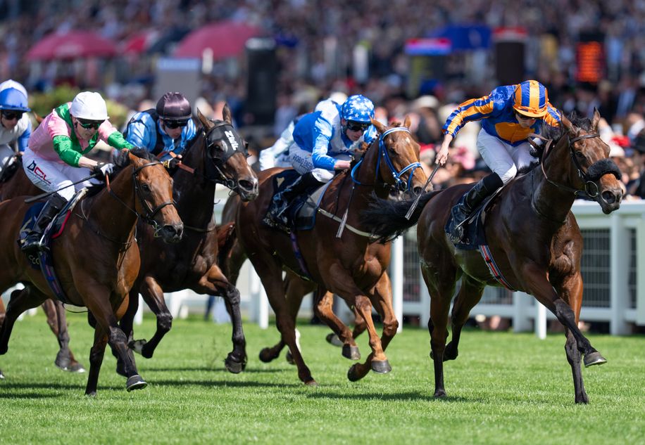 'Every time I looked at her owners we'd both start to cry' - delight ...
