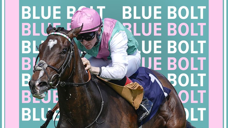 Can the Group 1-entered Blue Bolt continue her rise up the ranks in ...