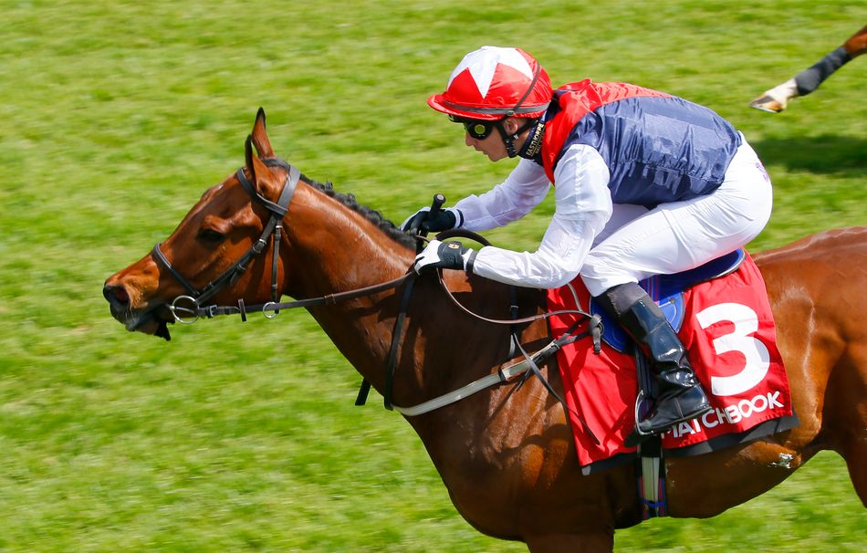 Oh, what a Knight! Easterby stalwart Copper set for 100th run of ...