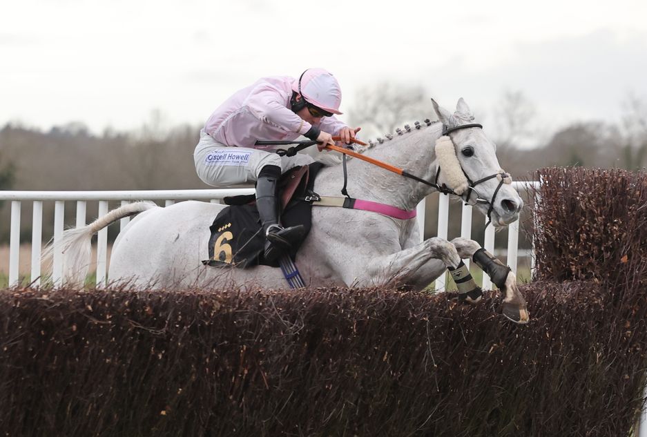 'He stole everybody's hearts' - Sheila Lewis rocked by death of stable ...