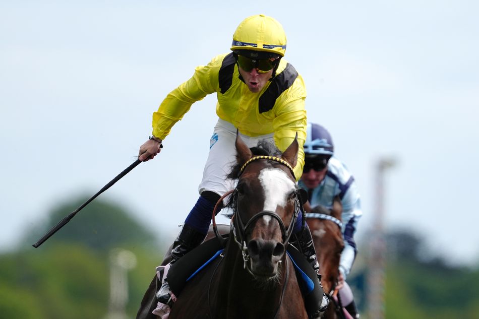 Rahiebb team continue their electric run of form going into Gold Cup ...