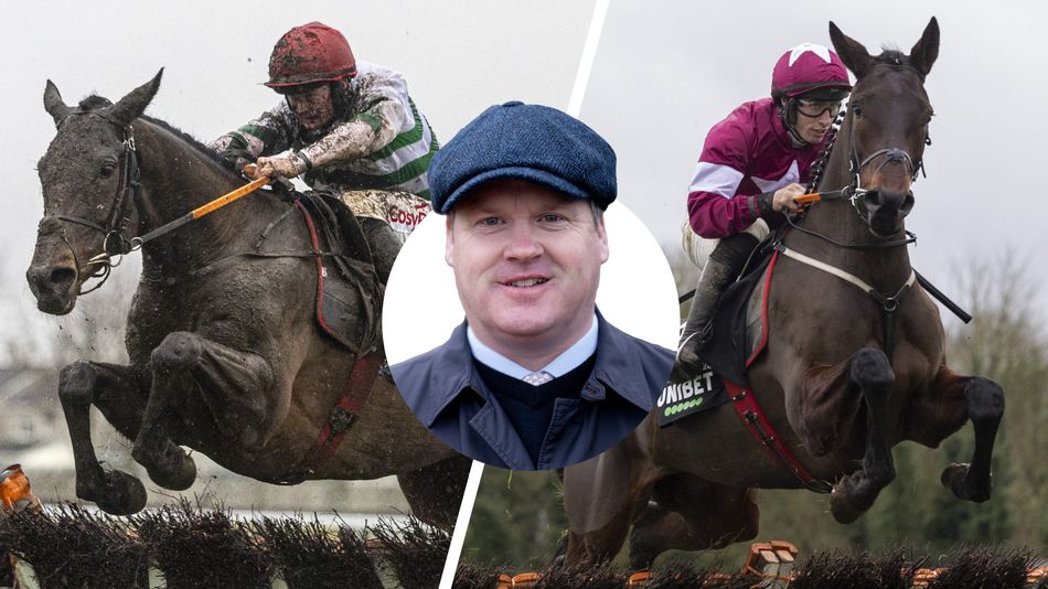 'I'd love to have a go at the Champion' - Brighterdaysahead decision ...