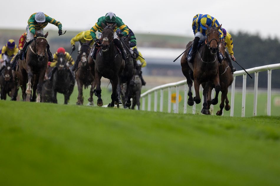 Philip Rothwell lands Listed handicap hurdle with unexposed The Busy ...