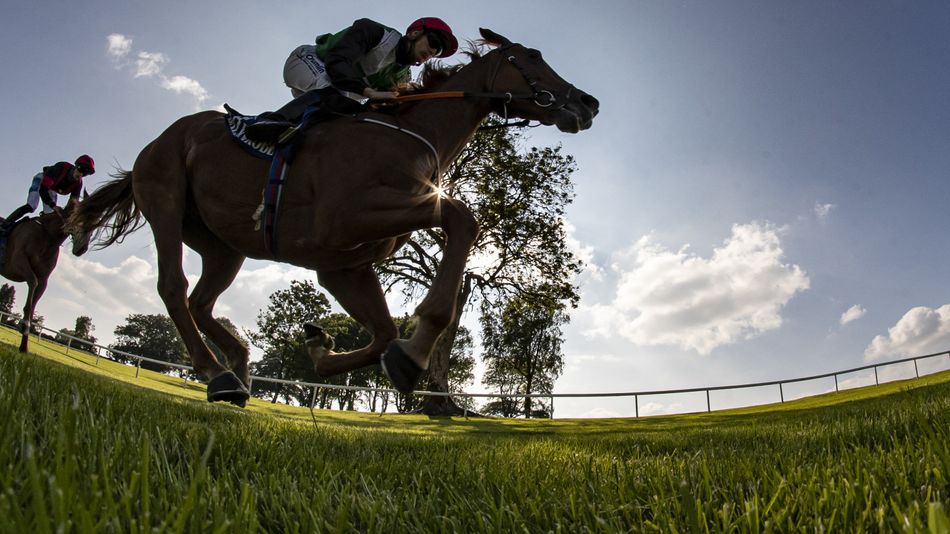 No increase in government funding for Irish racing with budget ...