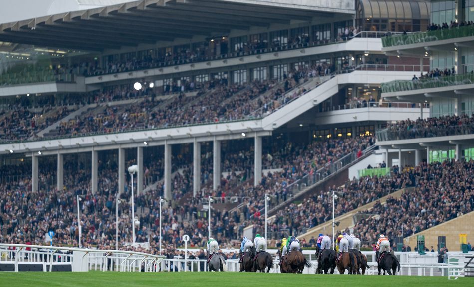 Here are four outsiders to keep on side at Cheltenham today - including ...