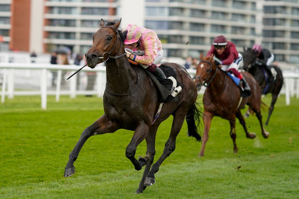 'Astonished' Charlie Hills could target Sussex Stakes with Cicero's ...