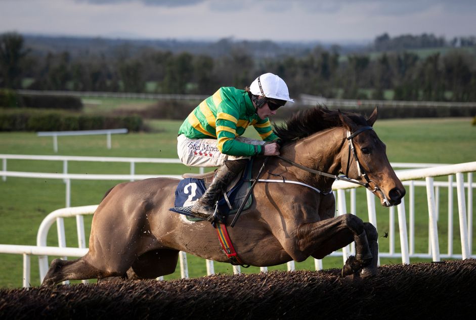 'We're going to Cheltenham' - two-horse trainer confirms festival plans ...