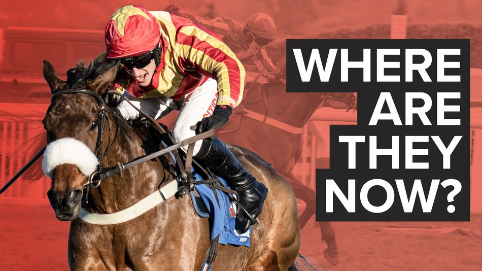 'He babysits the yearlings and is made for it' - Cheltenham king Coole ...