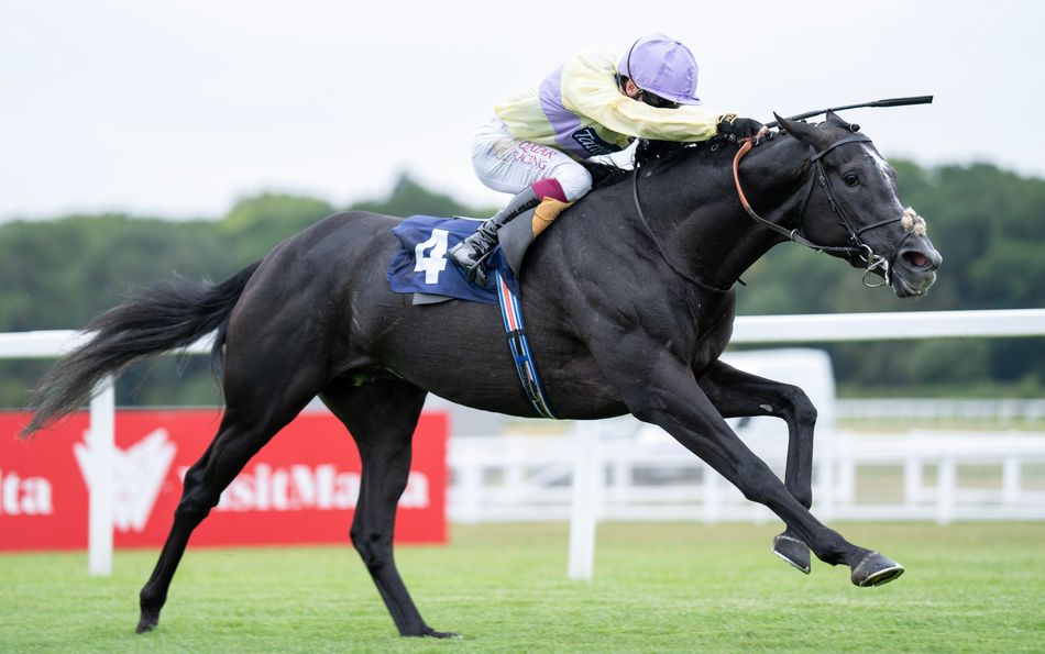 Tattersalls family enjoying Furthur education as Book 2 yearling ...