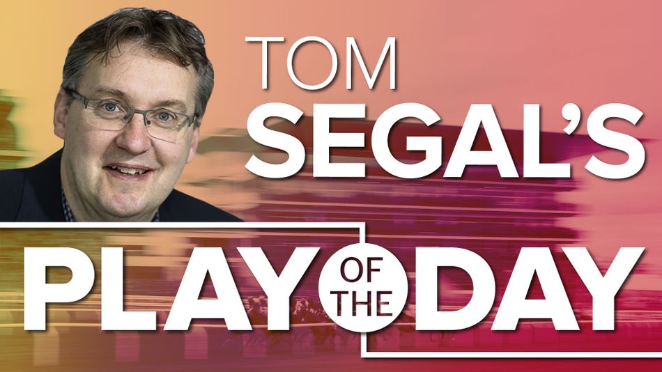 Tom Segal's play of the day at Naas | Racing Post