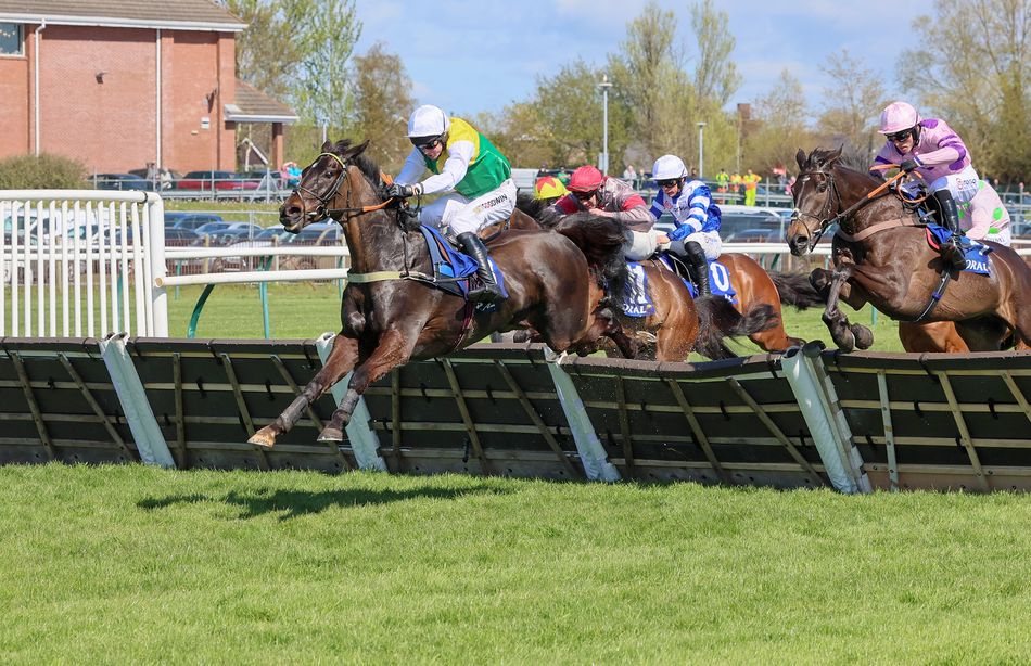 Local boy does good as Alan King lands Scottish Champion Hurdle with ...