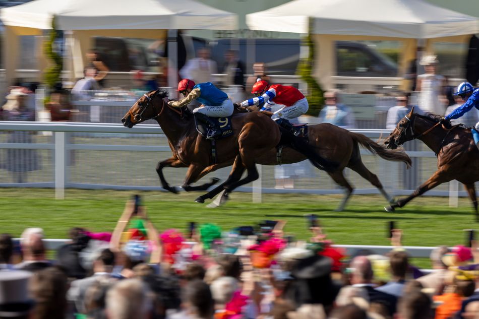 'I expect him to run a massive race' - analysis and trainer quotes for ...