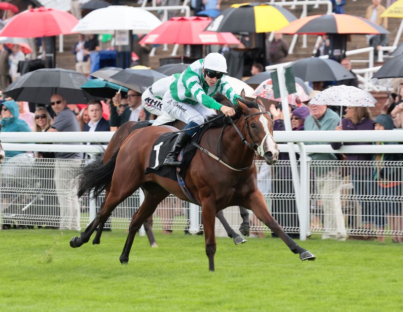 Two Amo Racing runners withdrawn and trainer fined for not entering ...