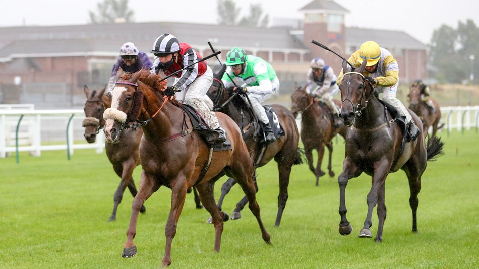 'We're only little but we get results' - David Thompson on mark with ...