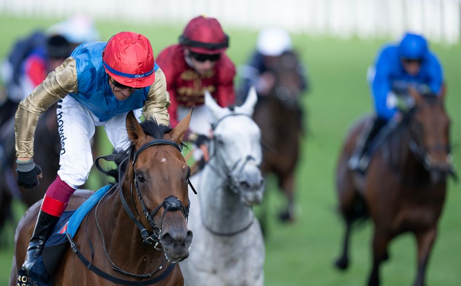 York option for unbeaten St Leger favourite and Royal Ascot winner ...