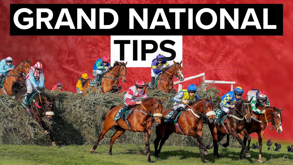 'Aintree could suit him to a tee' - why this horse can win the Grand ...