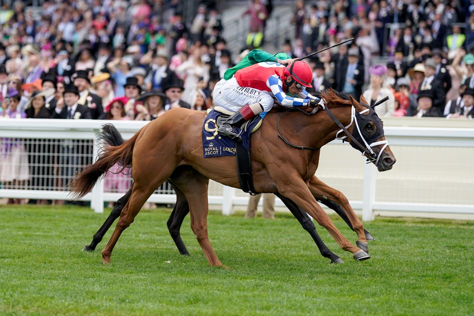 Another Crimson Advocate? Royal Ascot pointers guaranteed as two ...
