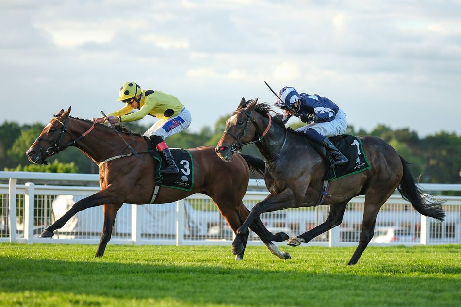 Is there another Arc winner in the field for the first Group 1 race of ...