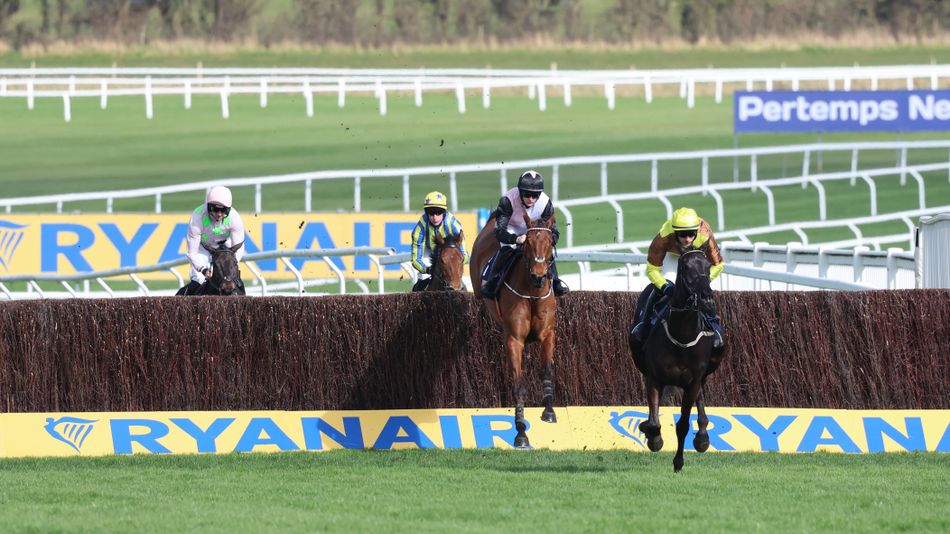 Need to 'maximise appeal' the driver behind culling of 20 jumps ...