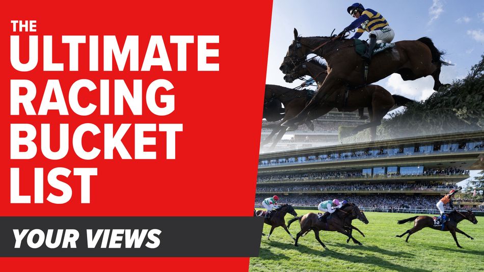 'Get to the Cheltenham Festival early and see the course come alive ...