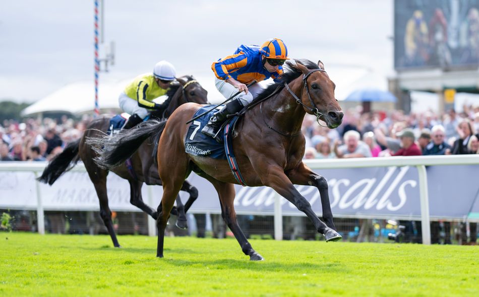 Derby favourite The Lion In Winter is back and faces contenders from ...