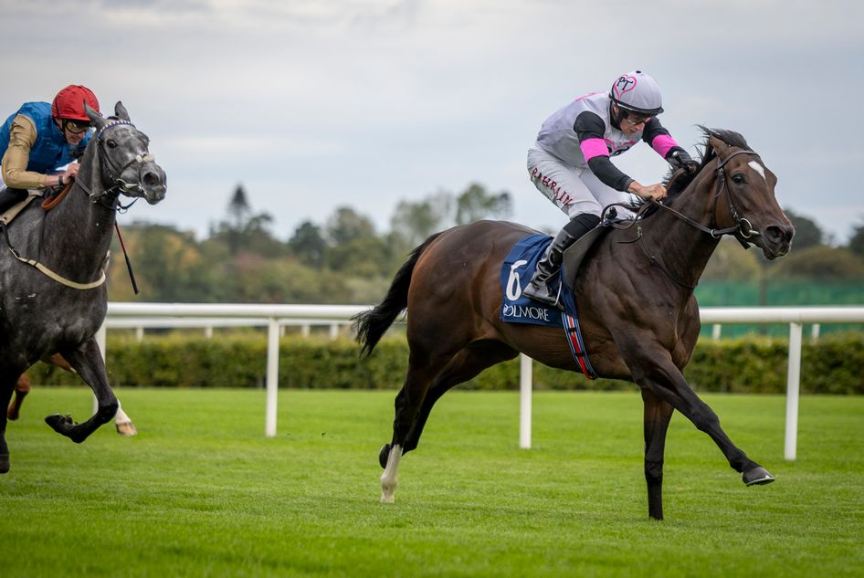 'She's electric' - Porta Fortuna shows her class again as she completes ...