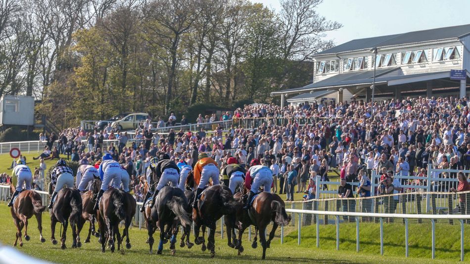 First Donald Trump, now Hexham! Racecourse back in Elon Musk's good ...