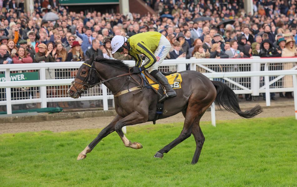 James Owen 'gutted' after leading Triumph Hurdle fancy Burdett Road ...