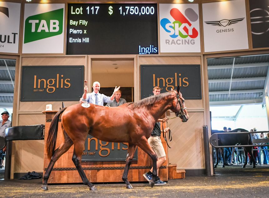 Fourteen yearlings sell for A$1m or more during stunning opening ...