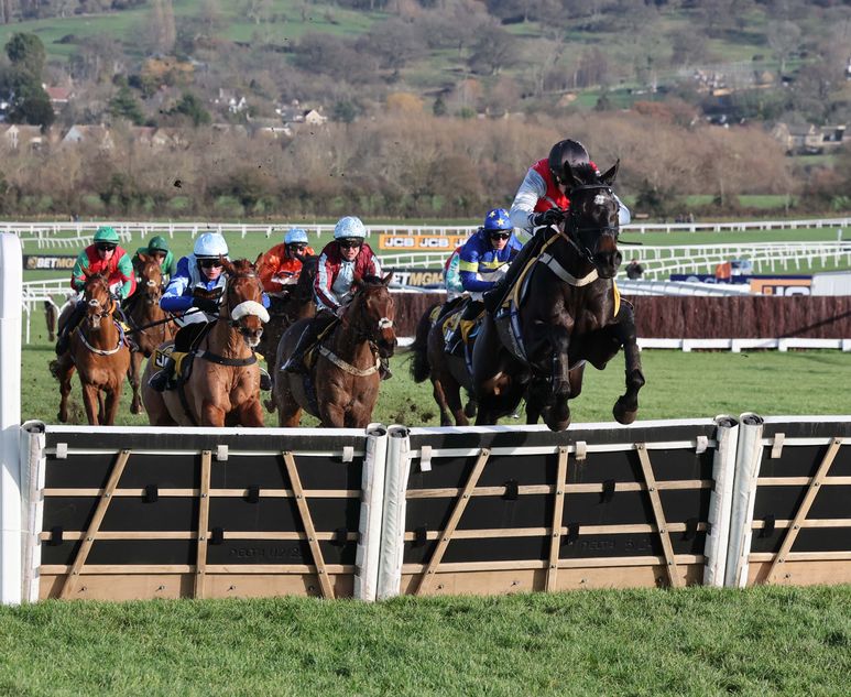 'He's the real deal' - Minella Study gets high praise as trainer Adam ...