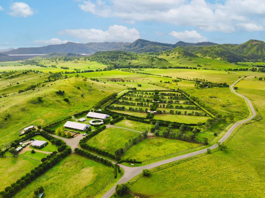 Yulong continue Australian expansion with first New South Wales base ...