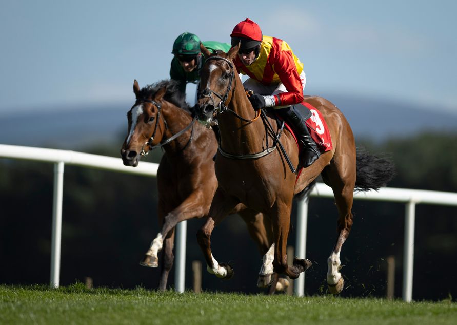 Gamble on Passenger foiled as Fatal Flaw keeps up Sweeney's fine run ...