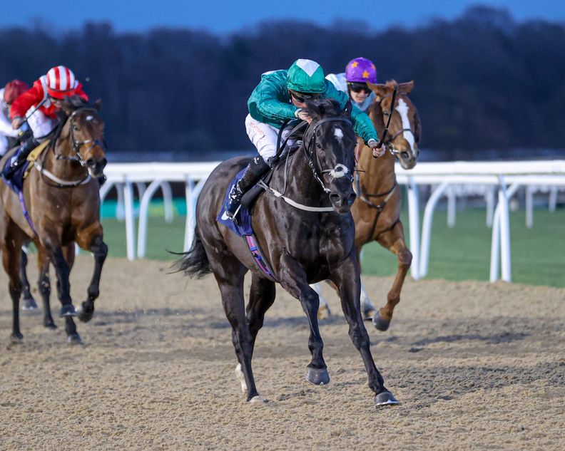 'He seems to have taken to the all-weather' - can Local Bay return to ...