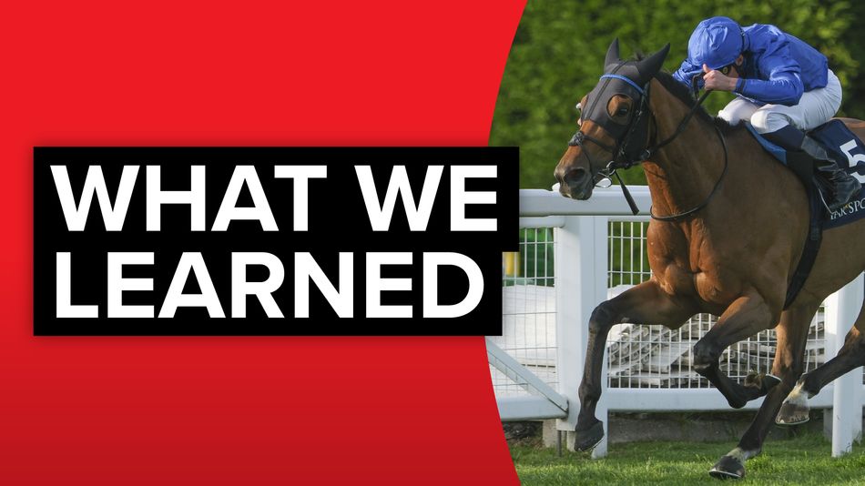 A solid Gold Cup trial, the cheaply bought juvenile on the road to ...