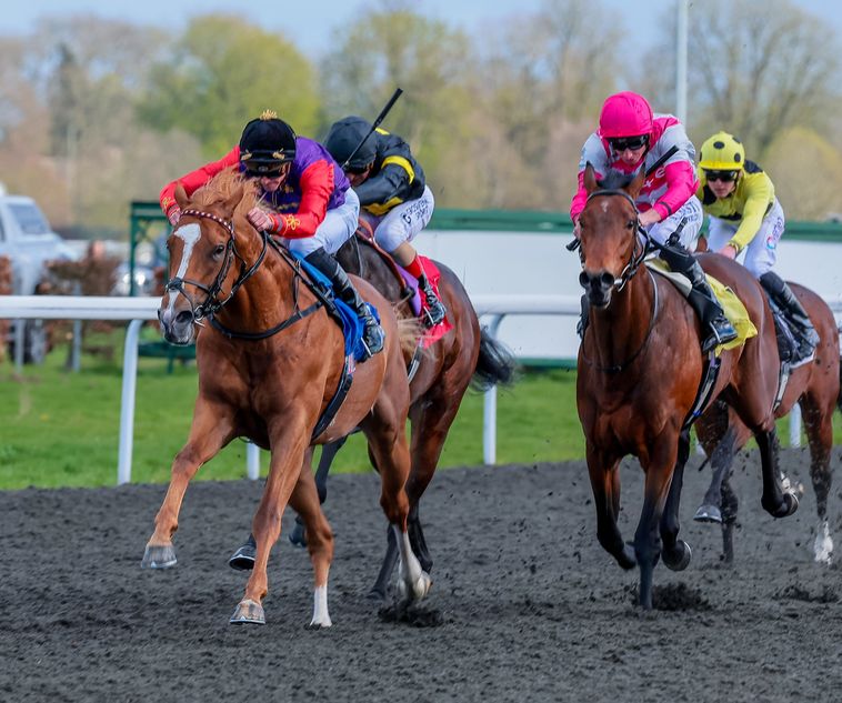 'John Gosden thinks he's smart so we are treating him with respect ...