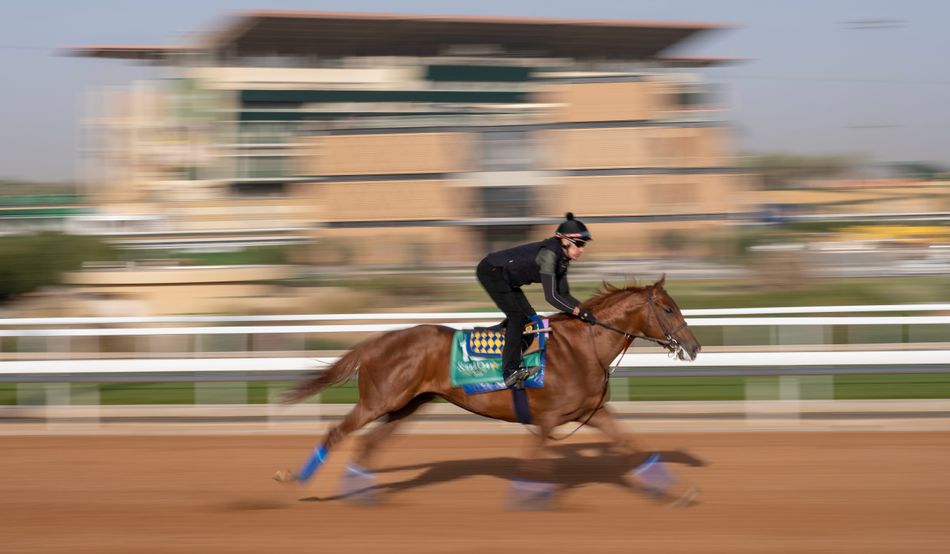 Grade 1 star Taiba retired to stand at Spendthrift Farm for $35,000 ...