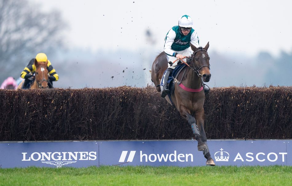 L'Homme Presse set to reappear in King George as Dan Skelton weighs up ...