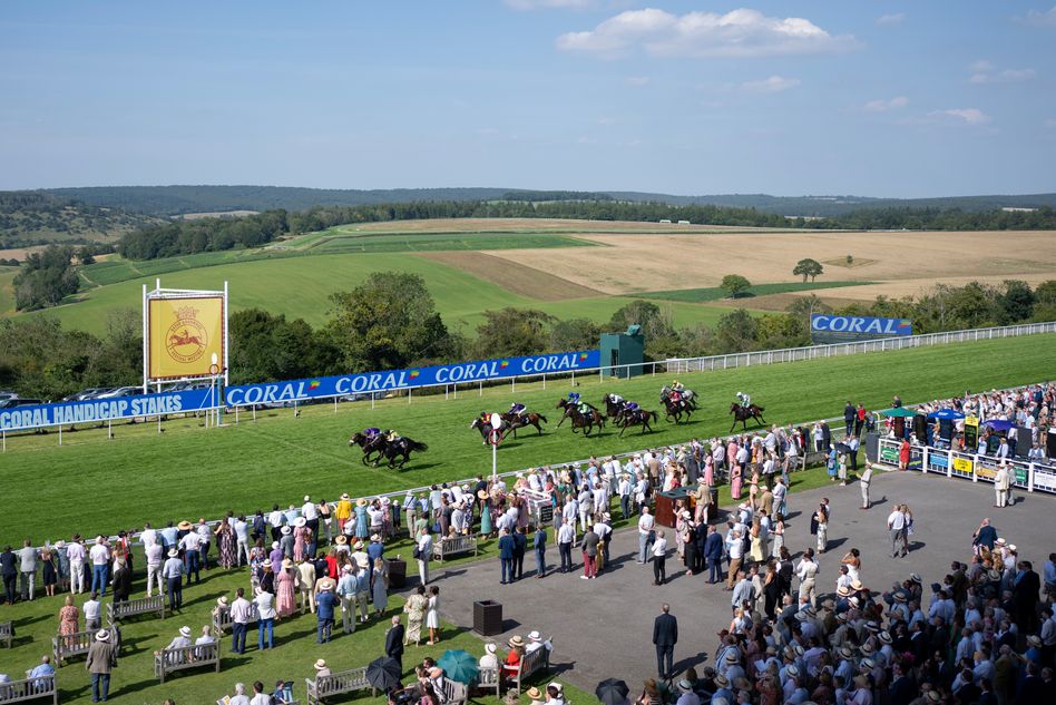 Visit Qatar to become title sponsors of Glorious Goodwood in multi-year ...