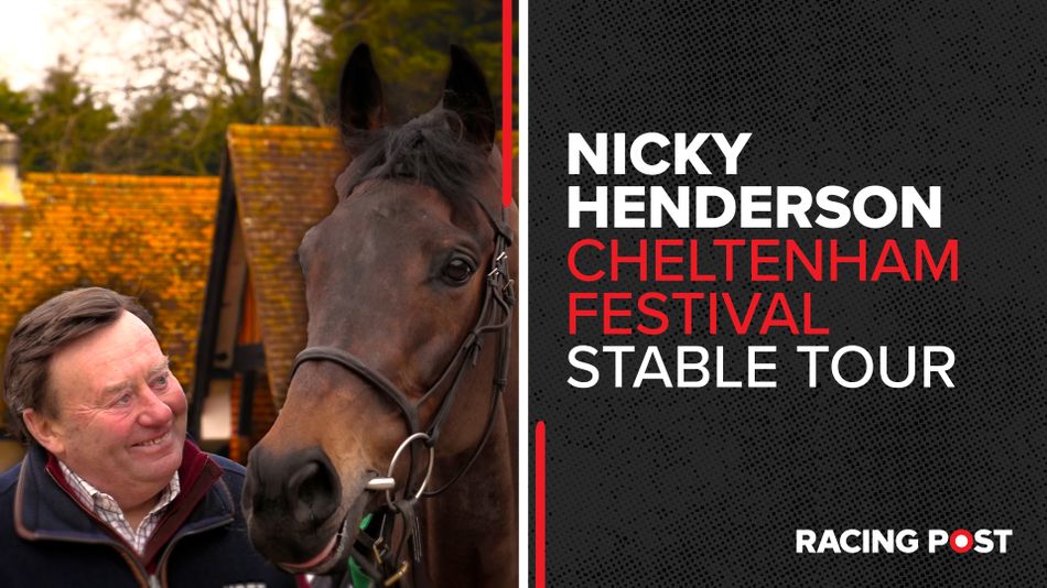 Watch: Nicky Henderson's unmissable 2023 Cheltenham Festival stable ...