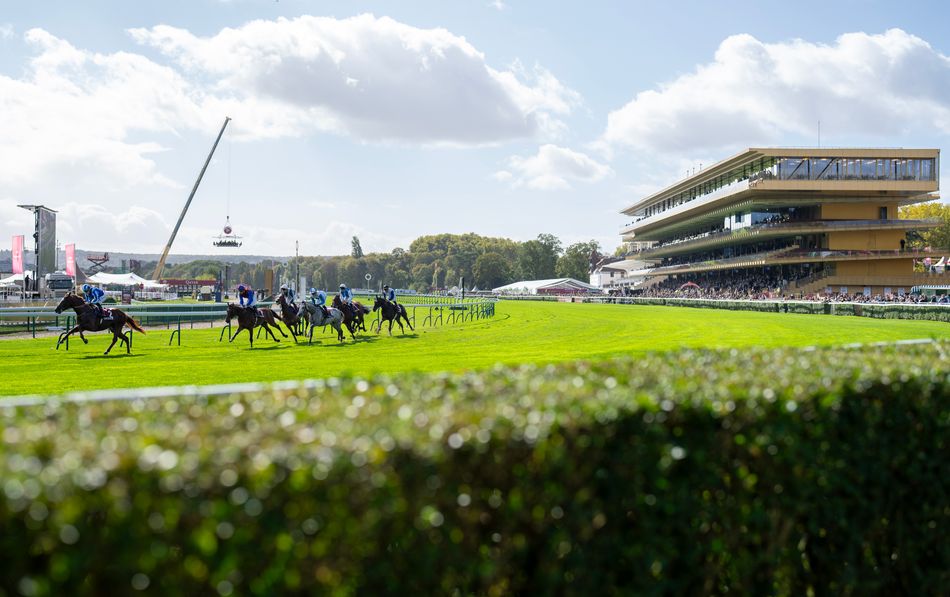 Prix de l'Arc de Triomphe set to be run on testing ground as Longchamp ...