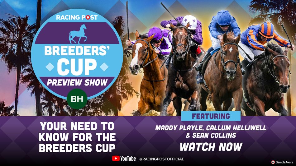 WATCH: Maddy Playle, Callum Helliwell and Sean Collins give their best ...