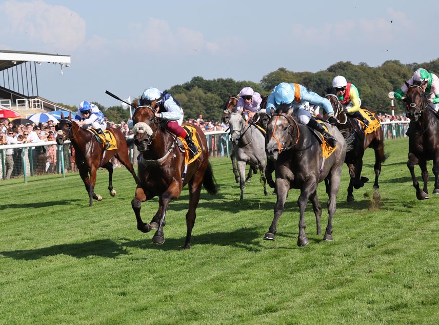 'This has been his Derby all year' - Middleham Park gunning for Sprint ...