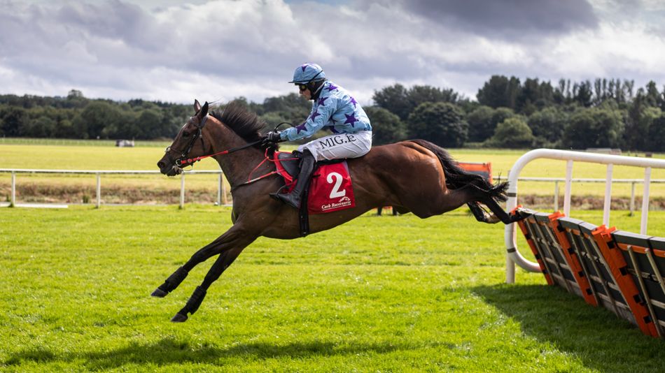 Horse Racing Ireland announce dates and venues for Irish Stallion Farms ...