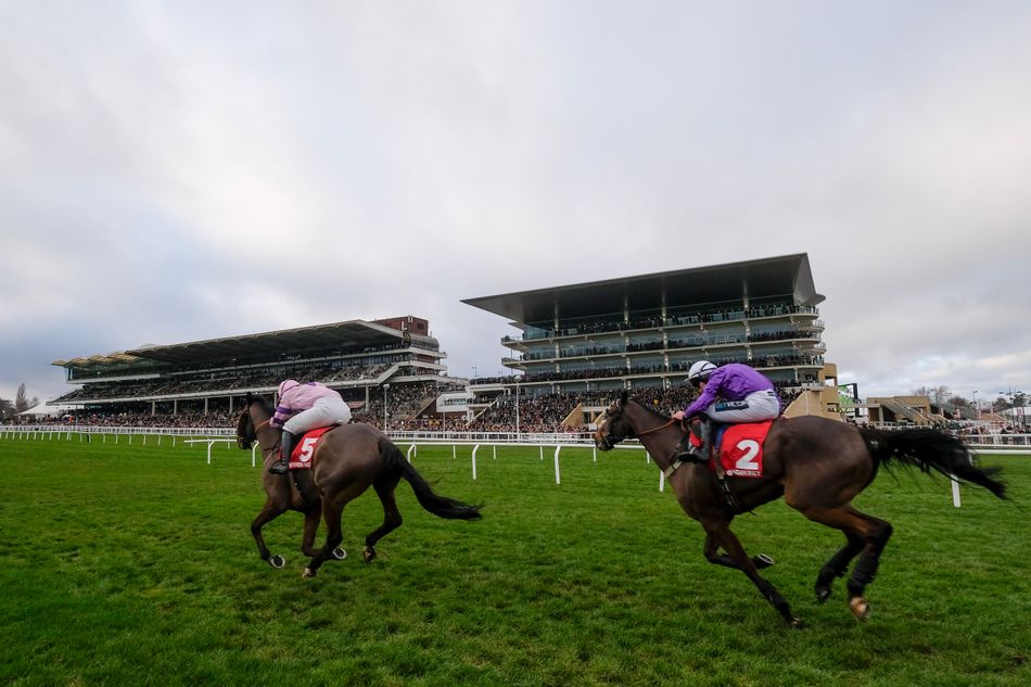 Last year's one-two Fugitif and Il Ridoto among 14 left in contention ...