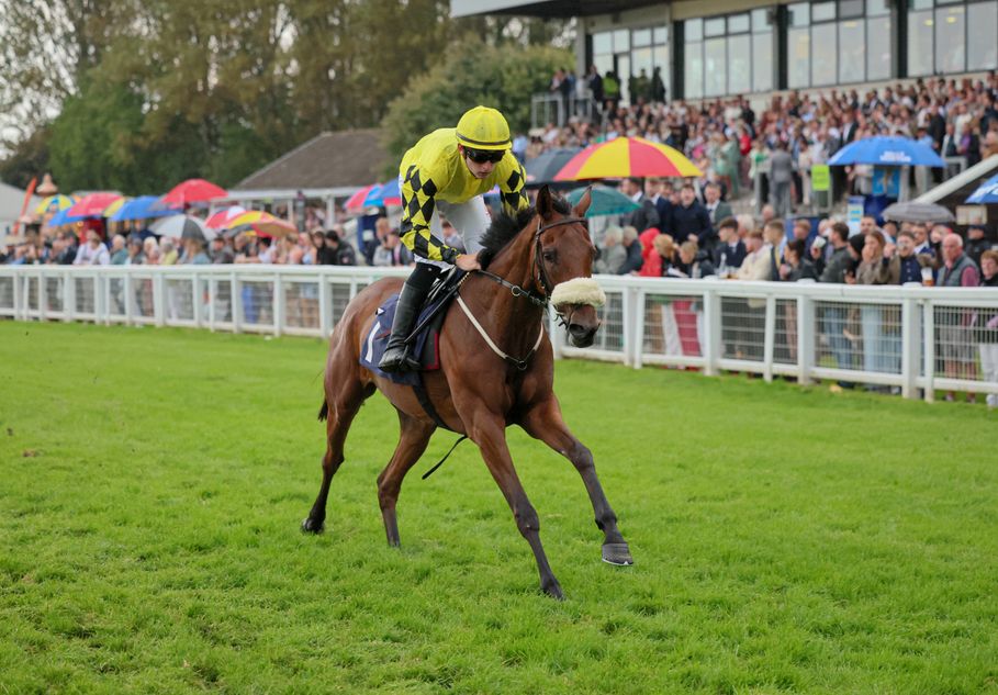 'Someone had more confidence than me' - King Roly lands gamble on chase ...